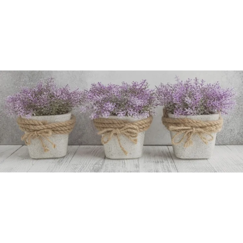 CERAMIKA COLOR Max Dekor CCR26-1 Płytka Ścienna Połysk 30x60 G1 ...